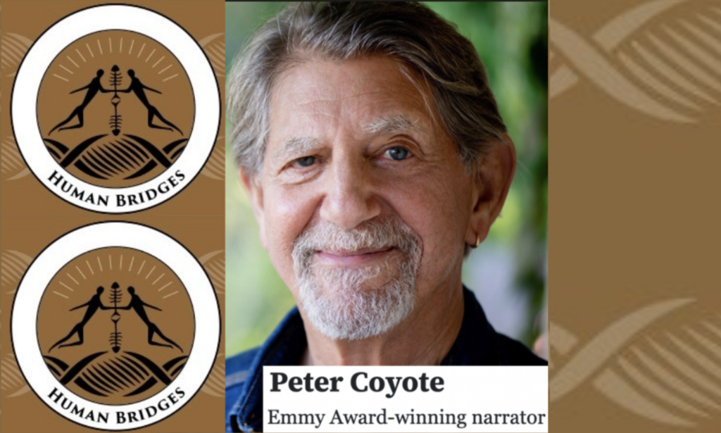 Human Bridges Project: A New Wave of Information for Our Times - The ...